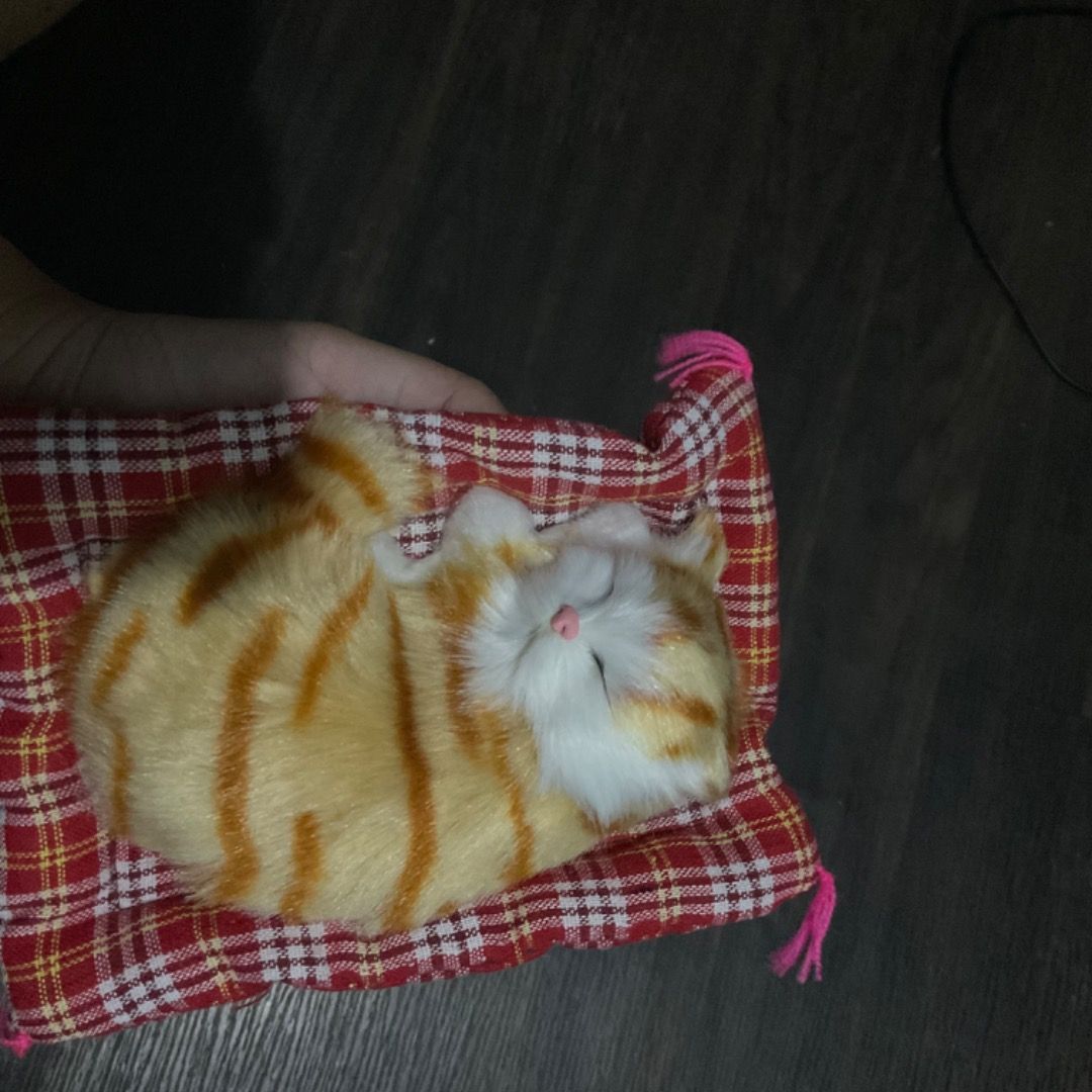 Realistic Kitten, Hobbies & Toys, Toys & Games on Carousell