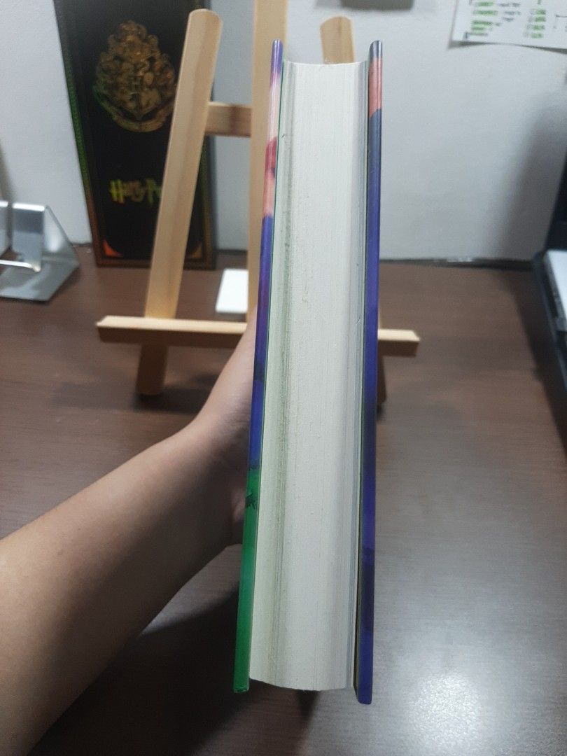 Storm Runner by J.C. Cervantes (Hard Cover) on Carousell
