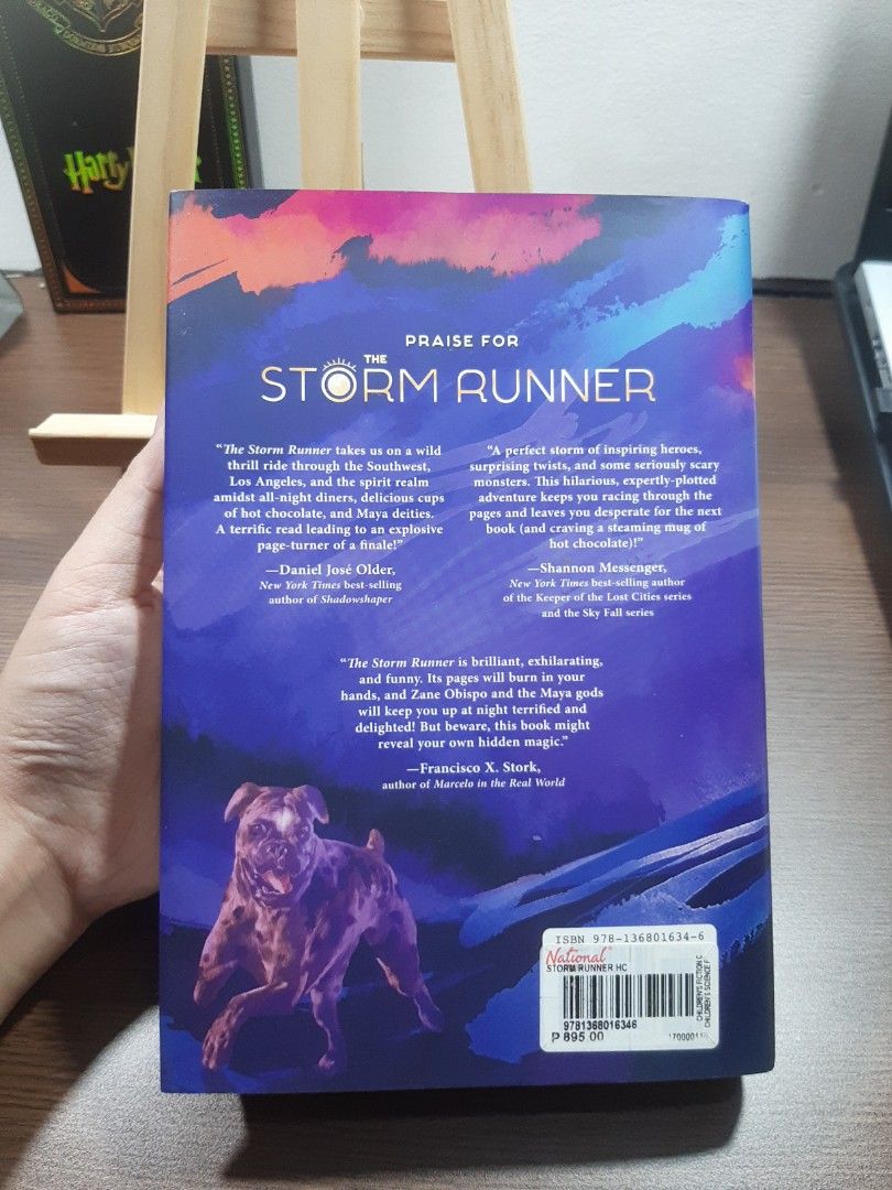 Storm Runner by J.C. Cervantes (Hard Cover) on Carousell