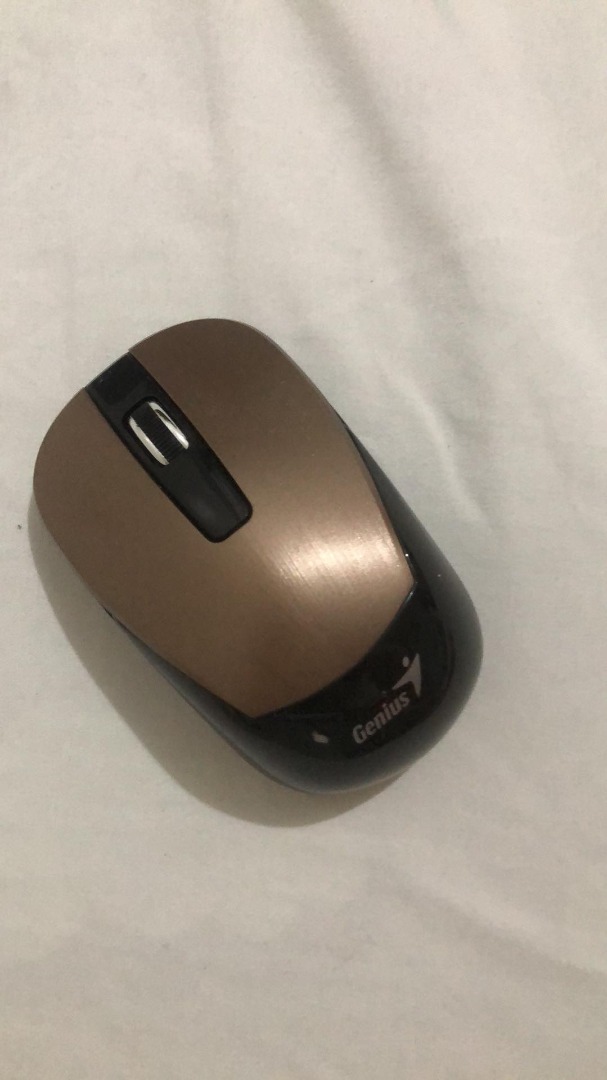 Wireless/Bluetooth Genius Mouse on Carousell