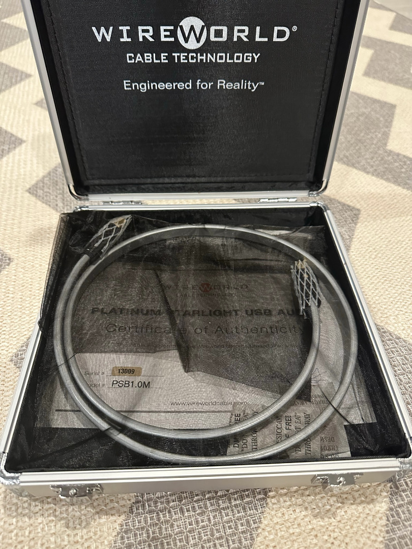 Wireworld Platinum Starlight 7 USB cable (1m), Audio, Other Audio ...