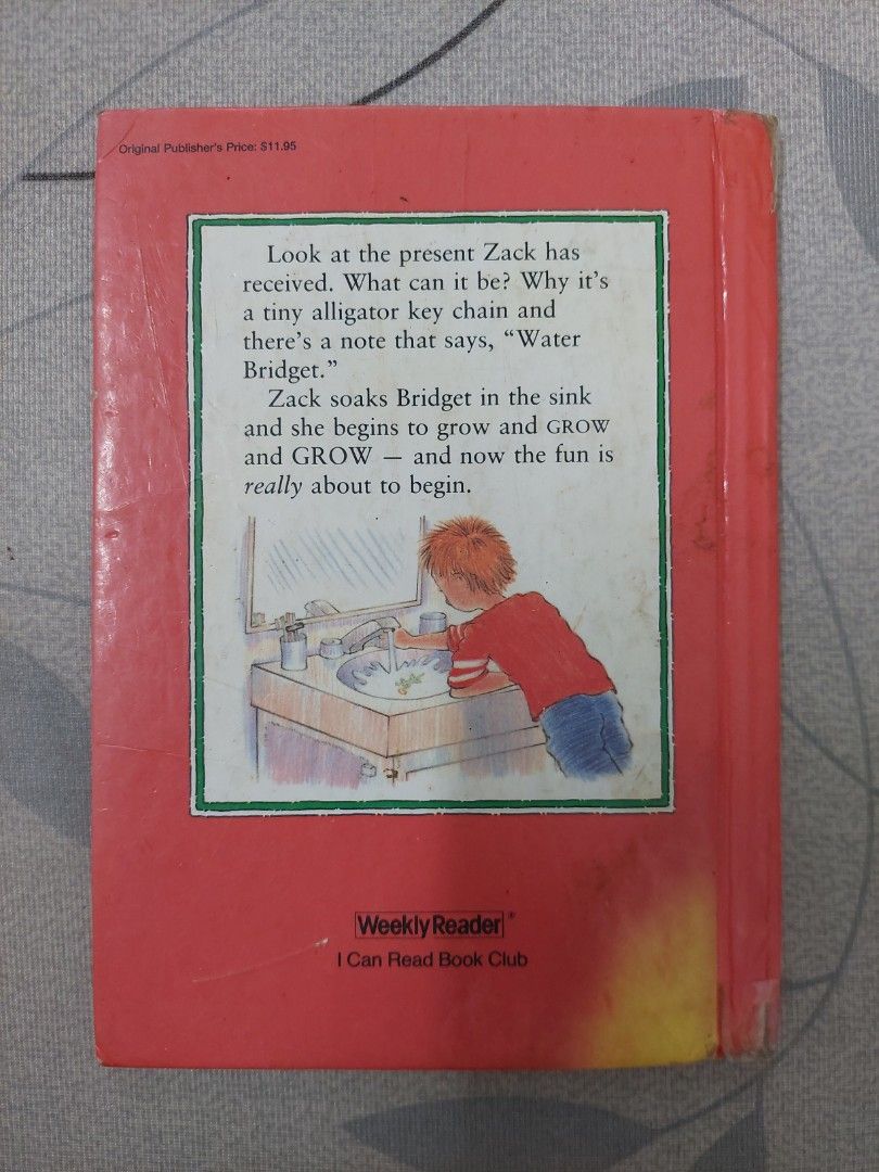 Zack's Alligator, Hobbies & Toys, Books & Magazines, Children's Books ...