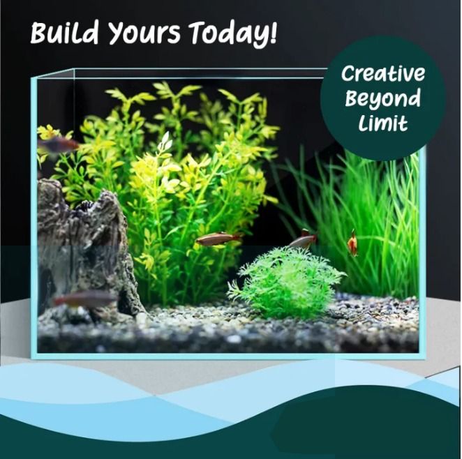 30cm Cube Aquarium crystal clear glass tank aquarium super white, Pet ...