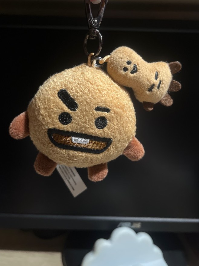 BT21 Shooky Keychain, Hobbies & Toys, Memorabilia & Collectibles, K-Wave on Carousell