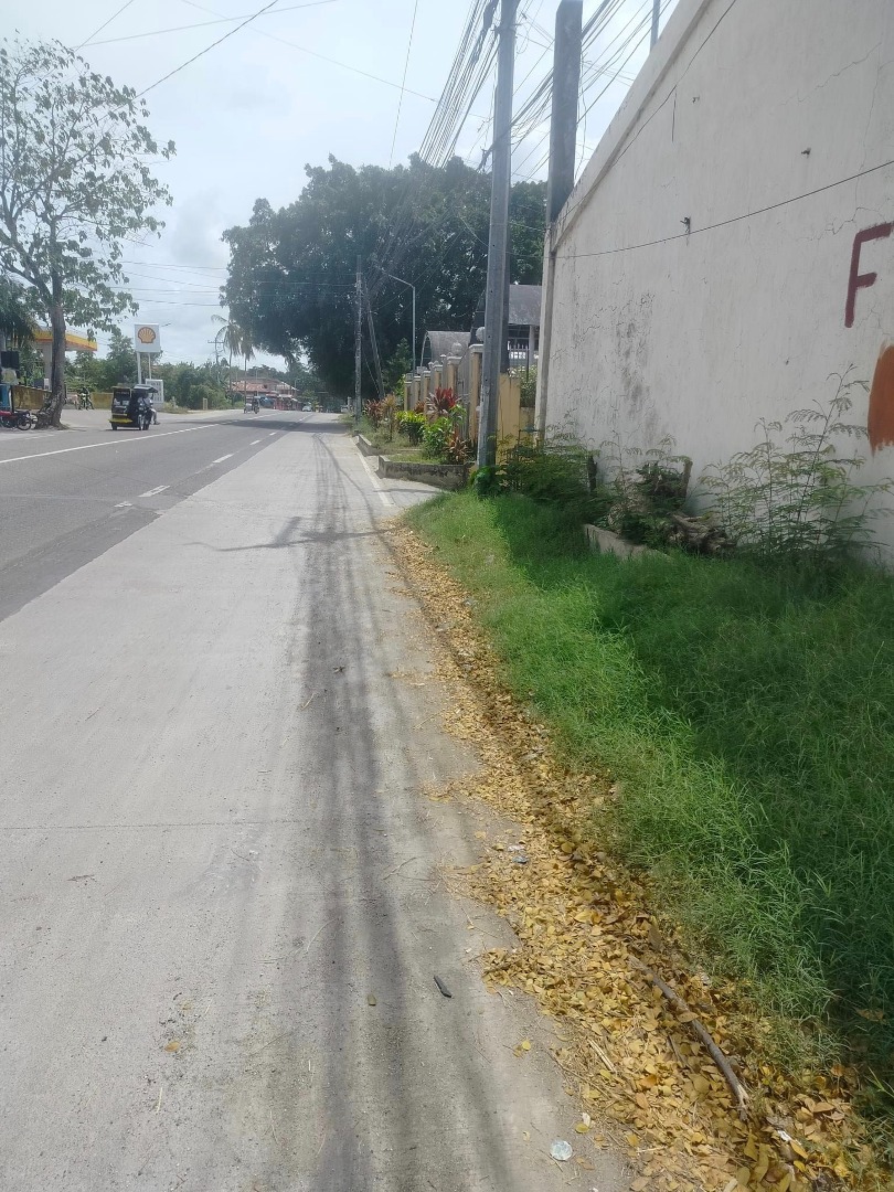 Commercial lot with building for sale 1,000 sqm clean title Bogo City ...
