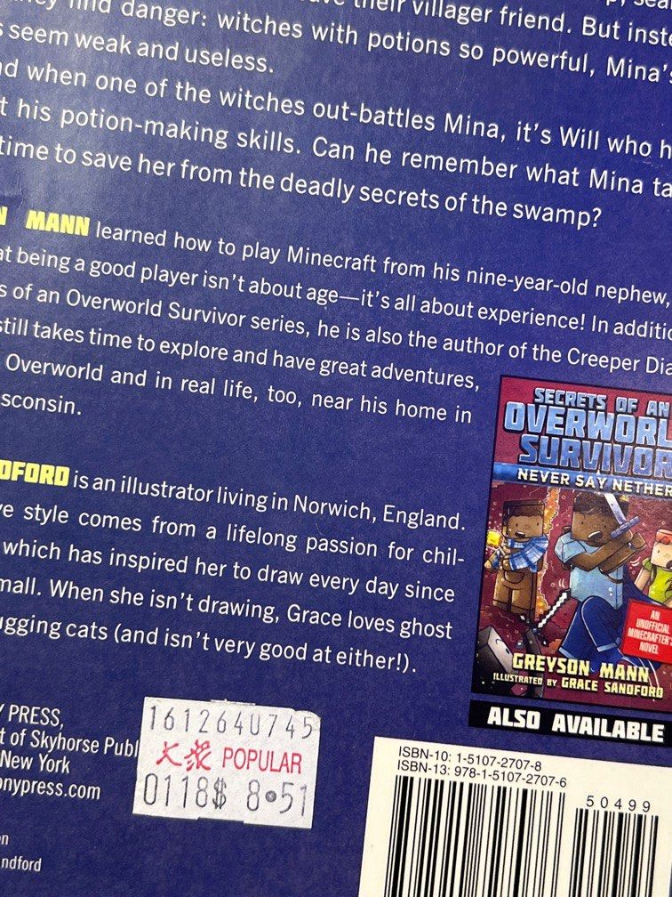 Minecraft Storybook Minecraft Novel, Hobbies & Toys, Books & Magazines ...