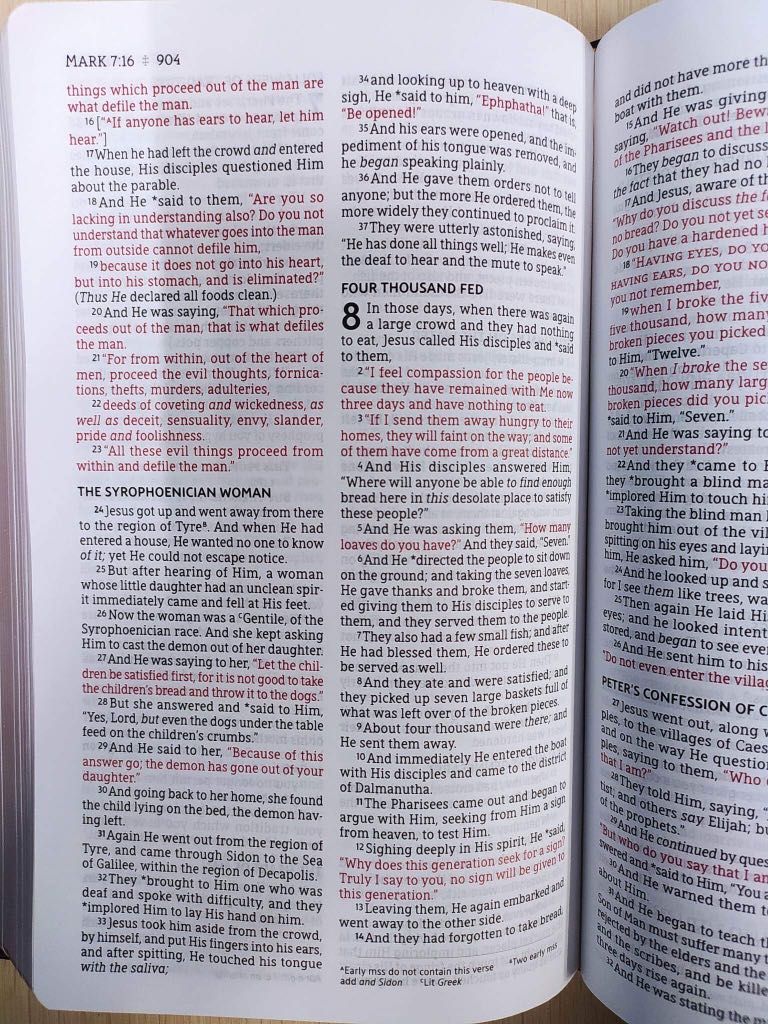NASB 1995 Text Thinline Bible (BondedLeather, Burgundy) on Carousell