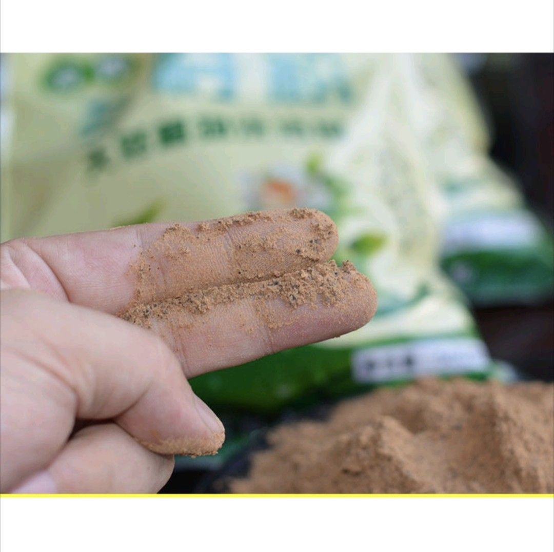 Natural tea seed powder 500g, Furniture & Home Living, Cleaning ...