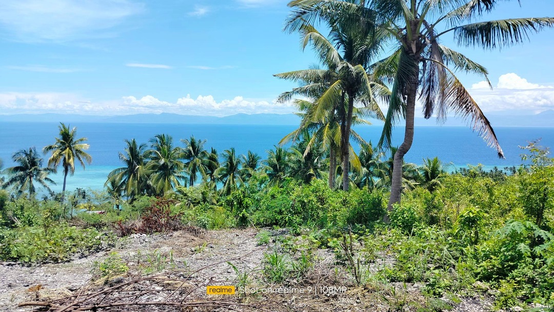 Overlooking seaview lot for sale 27,555 sqm clean title near beaches ...