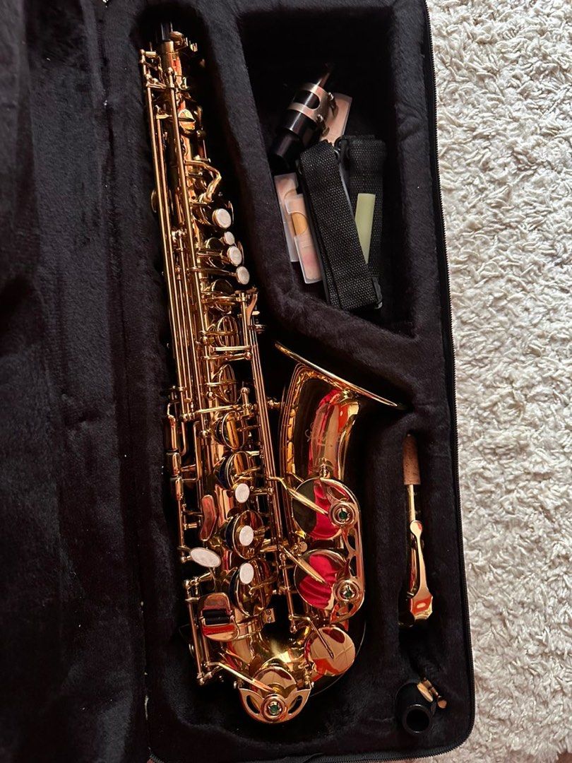 Slade Alto Saxophone, Hobbies & Toys, Music & Media, Musical ...