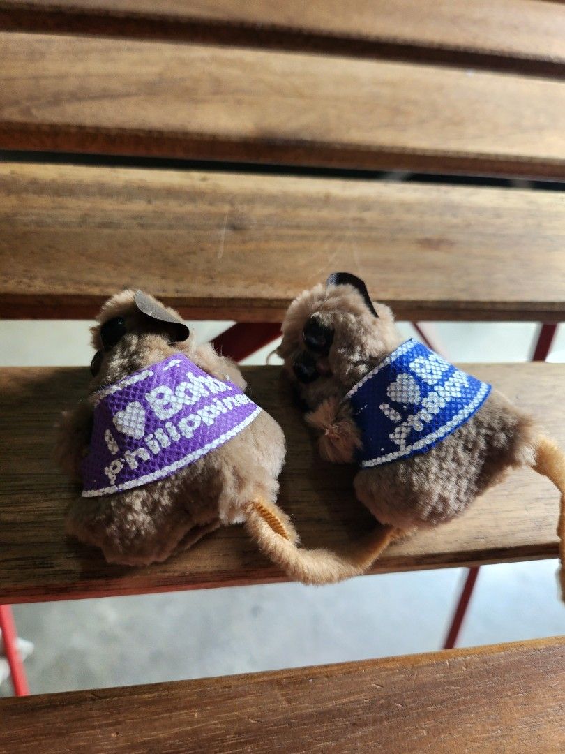 Tarsier Bohol Keychains on Carousell