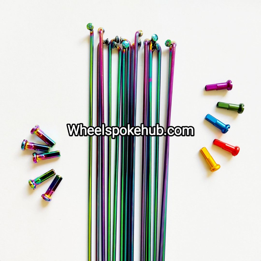 Wheel Building / lacing with DT Swiss Spokes & Nipples included, Sports ...