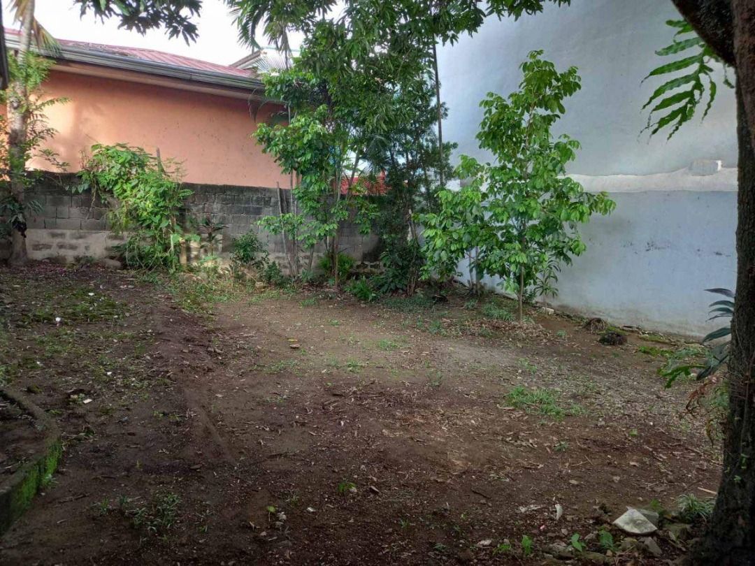 398 sq.m. Residential Lot with Old House in GSIS Village, Quezon City ...