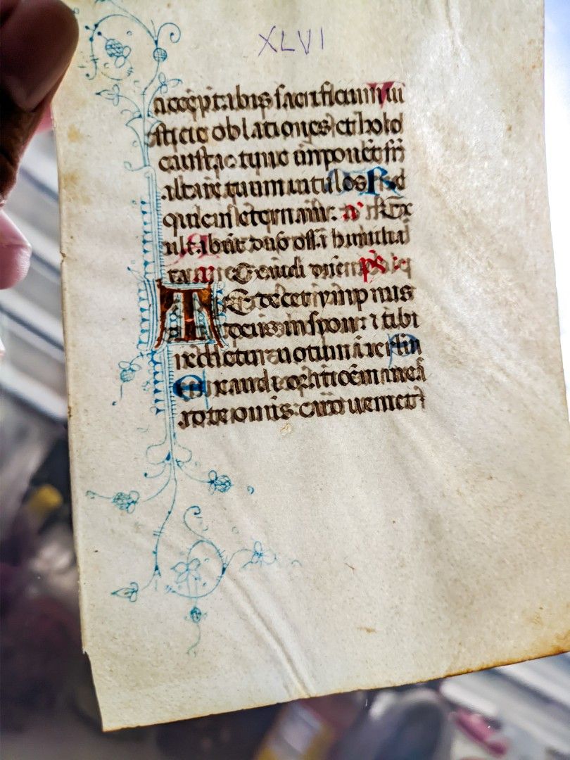 Authentic Medieval Manuscript Leaf Circa 14th Century for Sale with ...