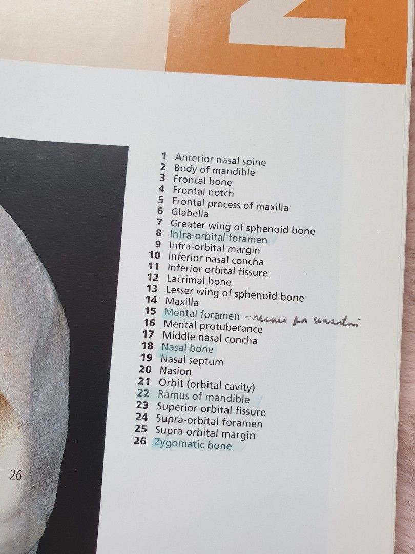 Clinical Atlas of Human Anatomy (Mc Minn and Abraham) 6th Ed, Hobbies ...