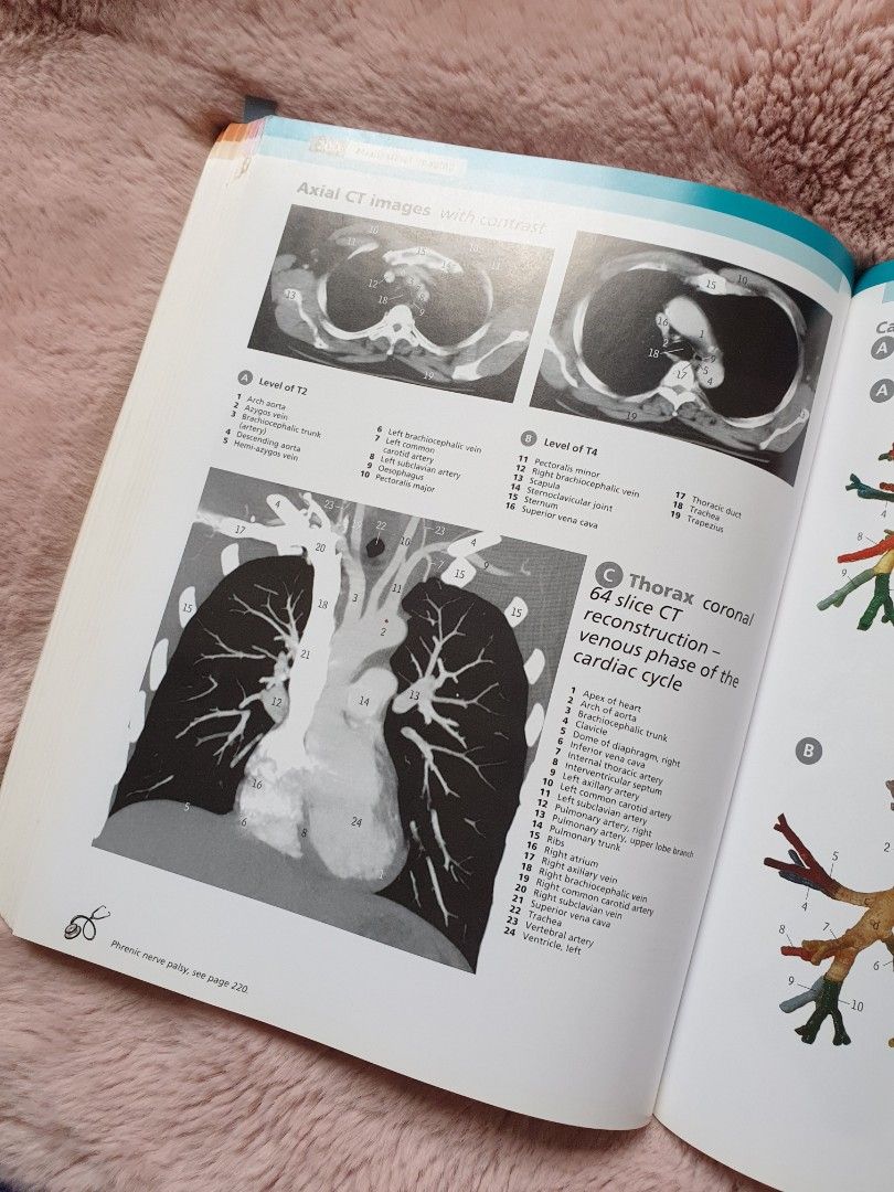 Clinical Atlas of Human Anatomy (Mc Minn and Abraham) 6th Ed, Hobbies ...