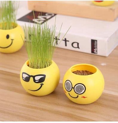 Creative Office Mini Plant Potted Green Grass Planted Grass Ecological ...