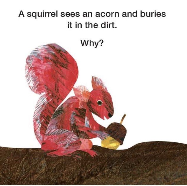 Eric Carle How An Egg Hatch/How Does A Tadpole Grow?/How Things Grow ...