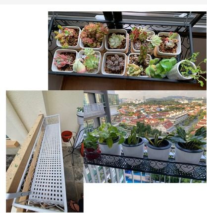 Flower Pot Plant Hanging Rack - Balcony Garden Metal Railing Stand HDB ...