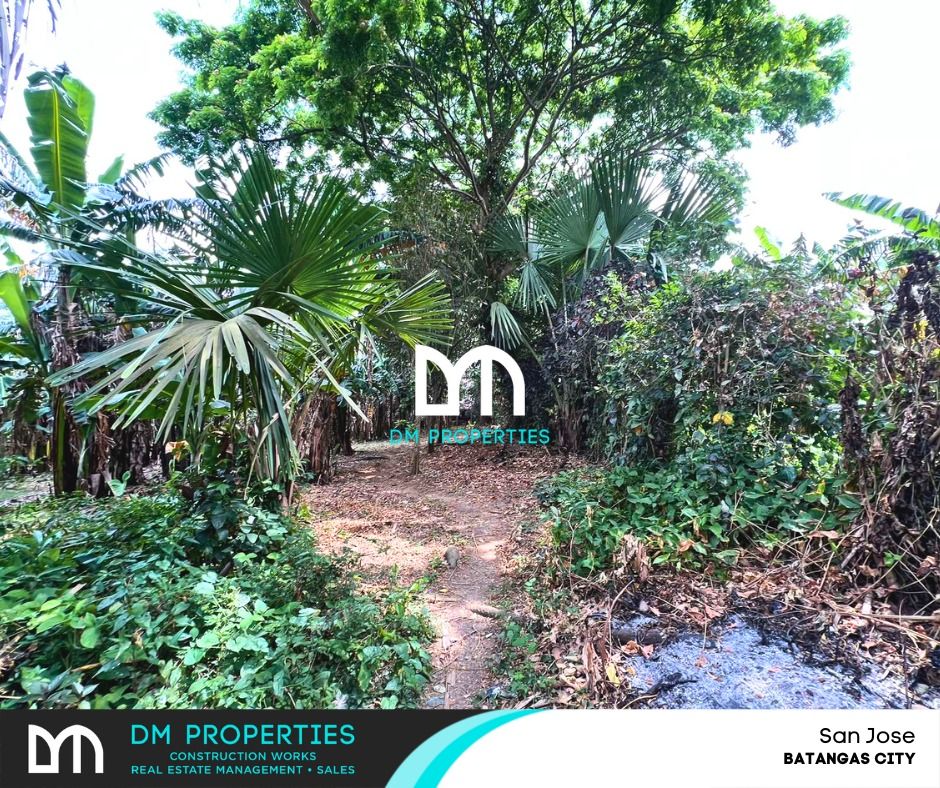 For Sale: Lot along San Jose Bypass Road, San Jose, Batangas, Property ...