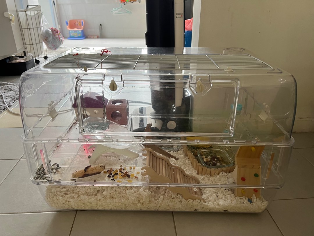 Hamster Acrylic Cage Alaska, Pet Supplies, Homes & Other Pet ...