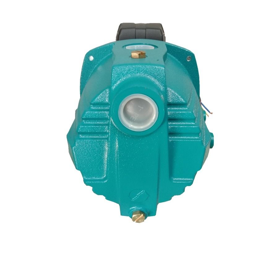 LEO Jet pump Shallow Well CI Head 3/4HP (LOAJM60), Commercial ...