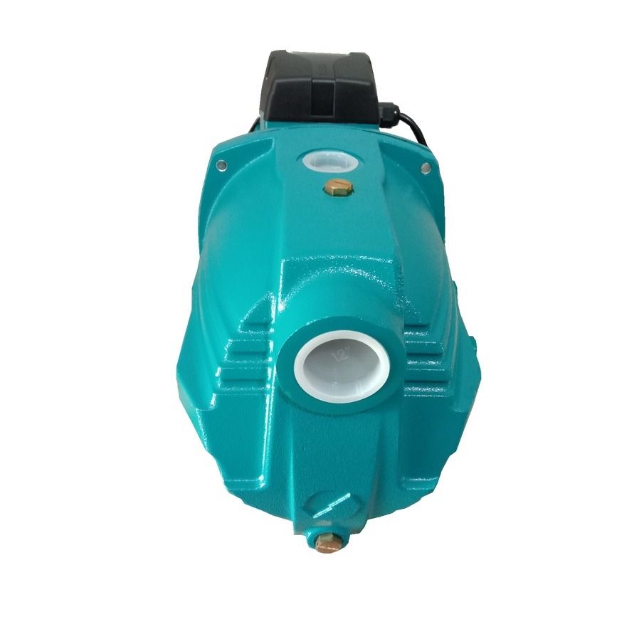 LEO Jet Pump Shallow Well CI Head 1.5HP (LOAJM110), Commercial ...