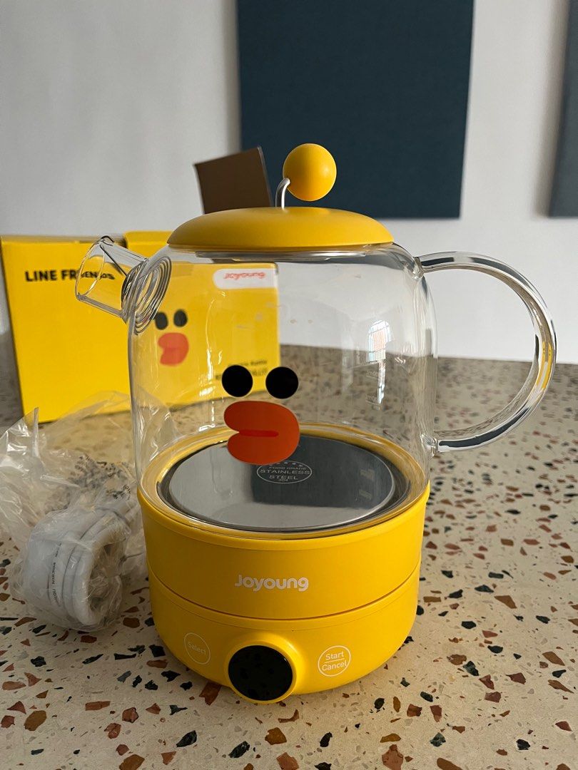 Line Friends Electric Kettle (Sally), TV & Home Appliances, Kitchen ...