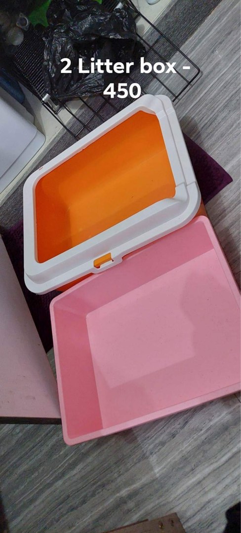 2 Litter Box for 400, Pet Supplies, Homes & Other Pet Accessories on ...