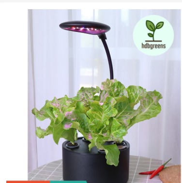 Miniature Table Top Smart Planter System with Fully Automatic Cycle ...