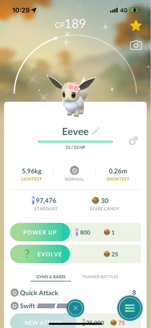 Shiny Eevee Cherry Blossom Pokemon Go, Video Gaming, Gaming Accessories, In-Game Products on ...
