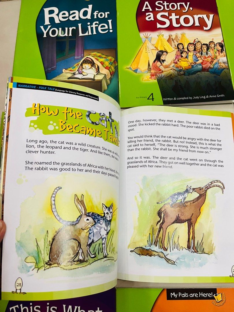 Story book for Primary 4, Hobbies & Toys, Books & Magazines, Children's ...