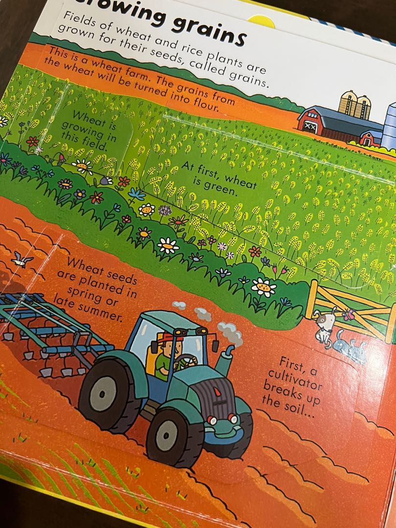 Usborne Flip Book - Look Inside Food, Hobbies & Toys, Books & Magazines ...