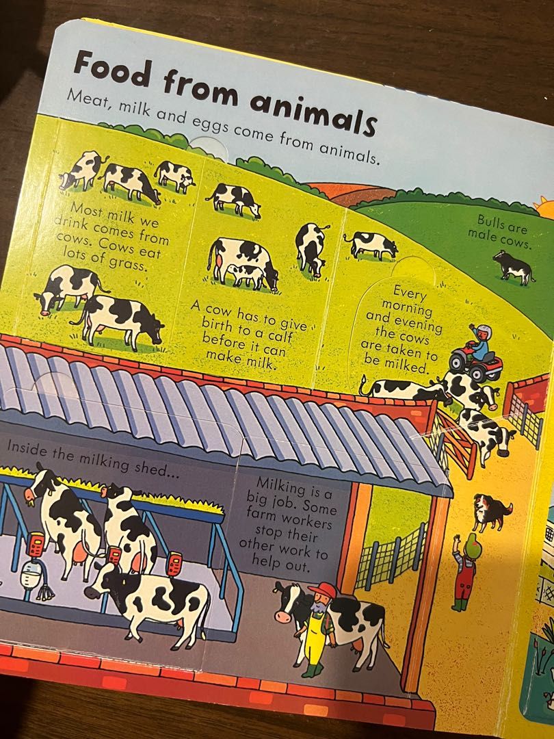 Usborne Flip Book - Look Inside Food, Hobbies & Toys, Books & Magazines ...