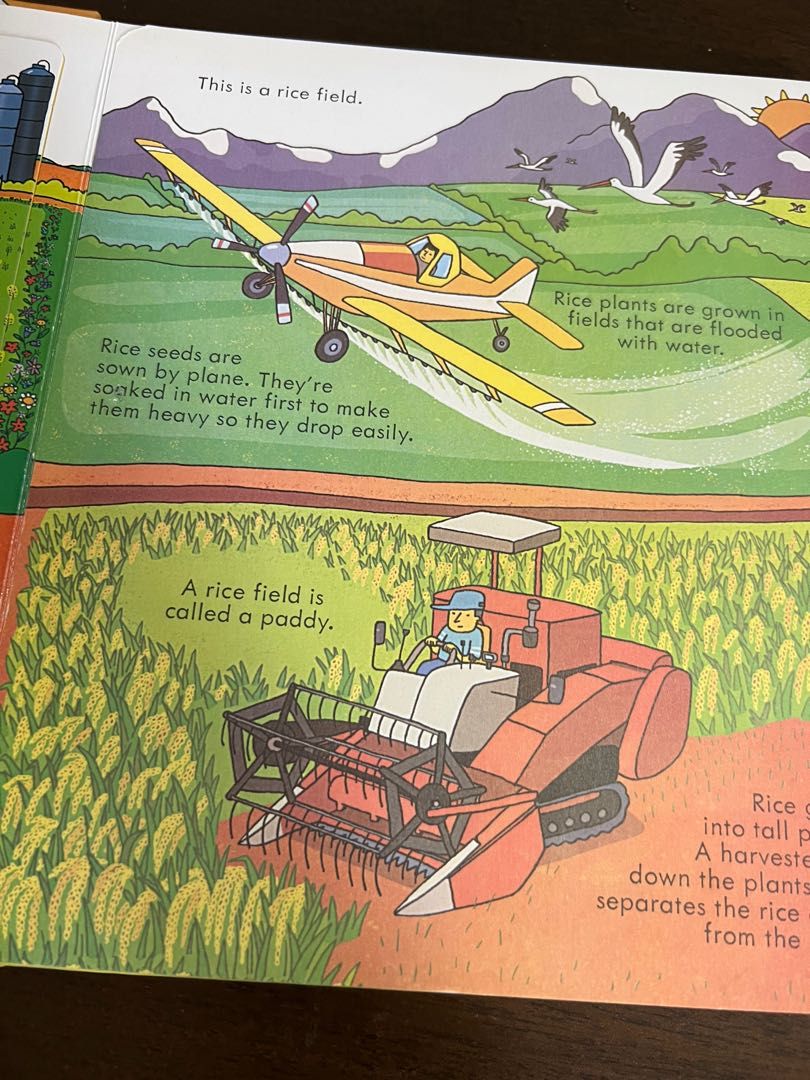 Usborne Flip Book - Look Inside Food, Hobbies & Toys, Books & Magazines ...