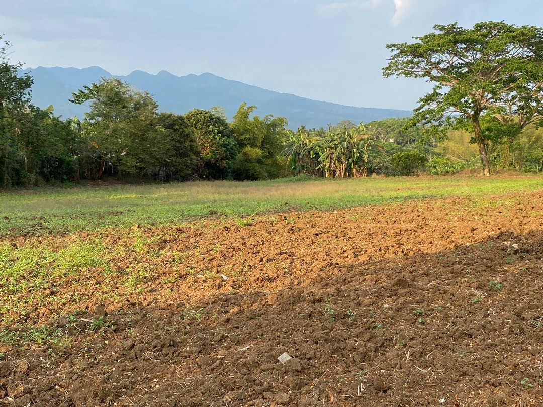 7.9 Hectares Farm Lot in Lipa City, Batangas, Property, For Sale, Lot ...