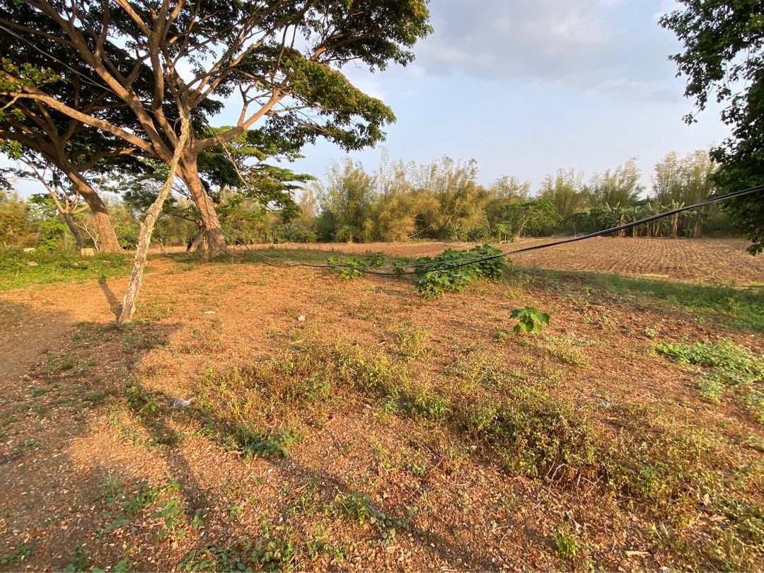 7.9 Hectares Farm Lot in Lipa City, Batangas, Property, For Sale, Lot ...
