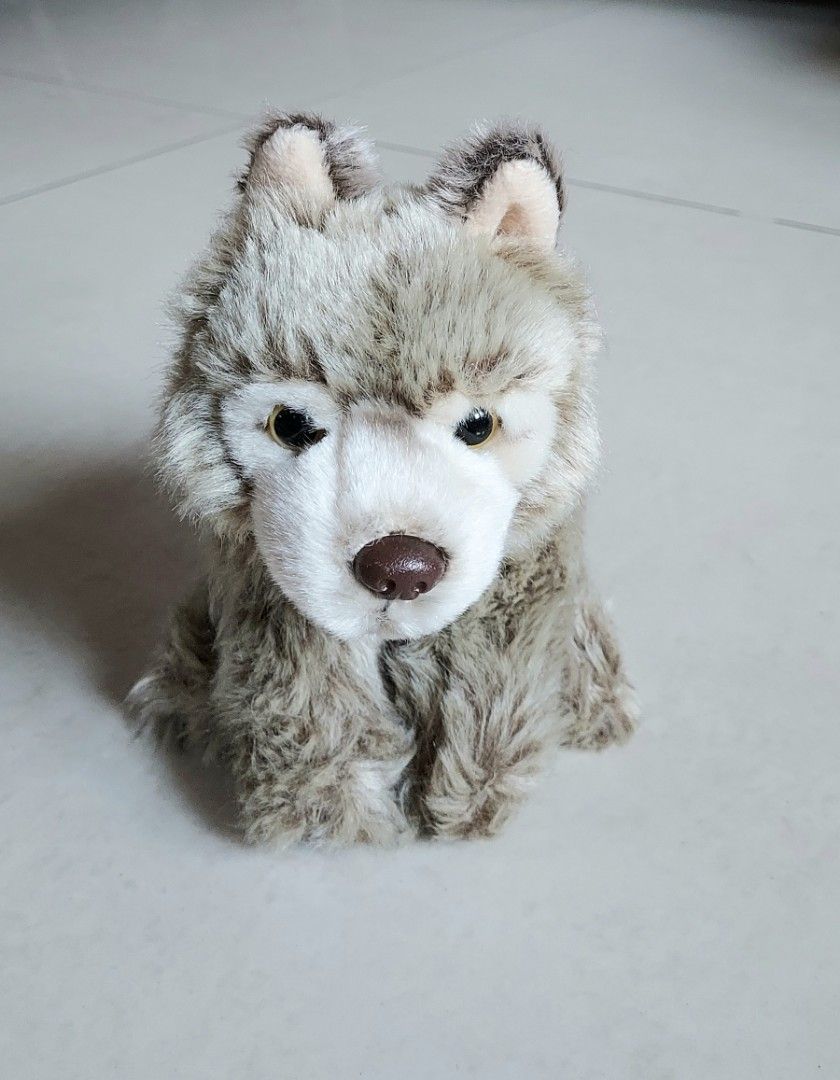 Authentic Colorata Plush Husky, Hobbies & Toys, Toys & Games on Carousell