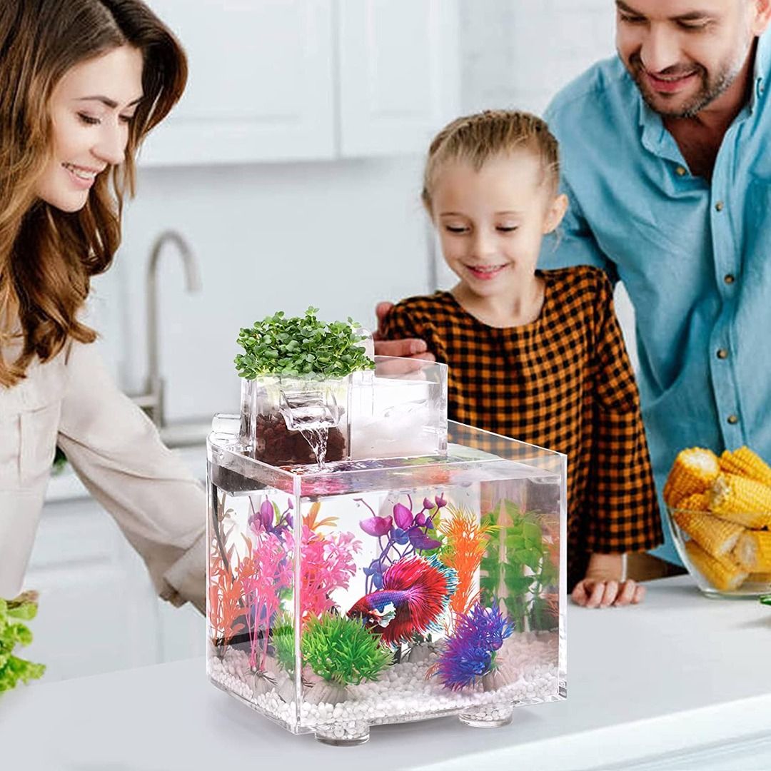 Betta Fish Tank, 1.6 Gallon Aquarium, Upgrade Hydroponics Growing ...