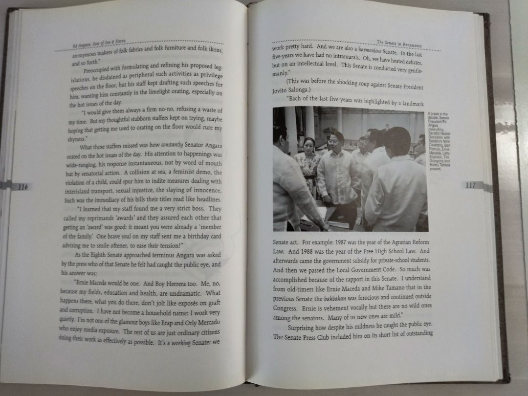 Biography of Edgardo Angara Seer of Sea and Sierra by Nick Joaquin ...