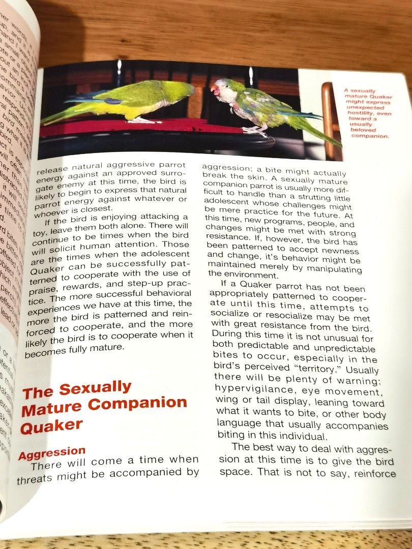 Guide To The Quaker Parrot Bird Book By Mattie sue Athan Barron's ...