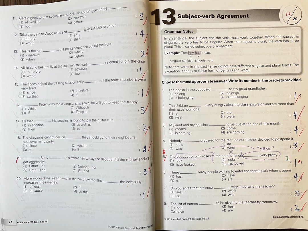 P3& P4&P5 Grammar MCQs Explained !, Hobbies & Toys, Books & Magazines ...