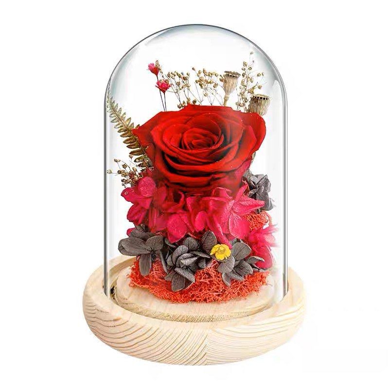 Preserved Red Rose Dome with LED Valentines Day Gift, Hobbies & Toys ...