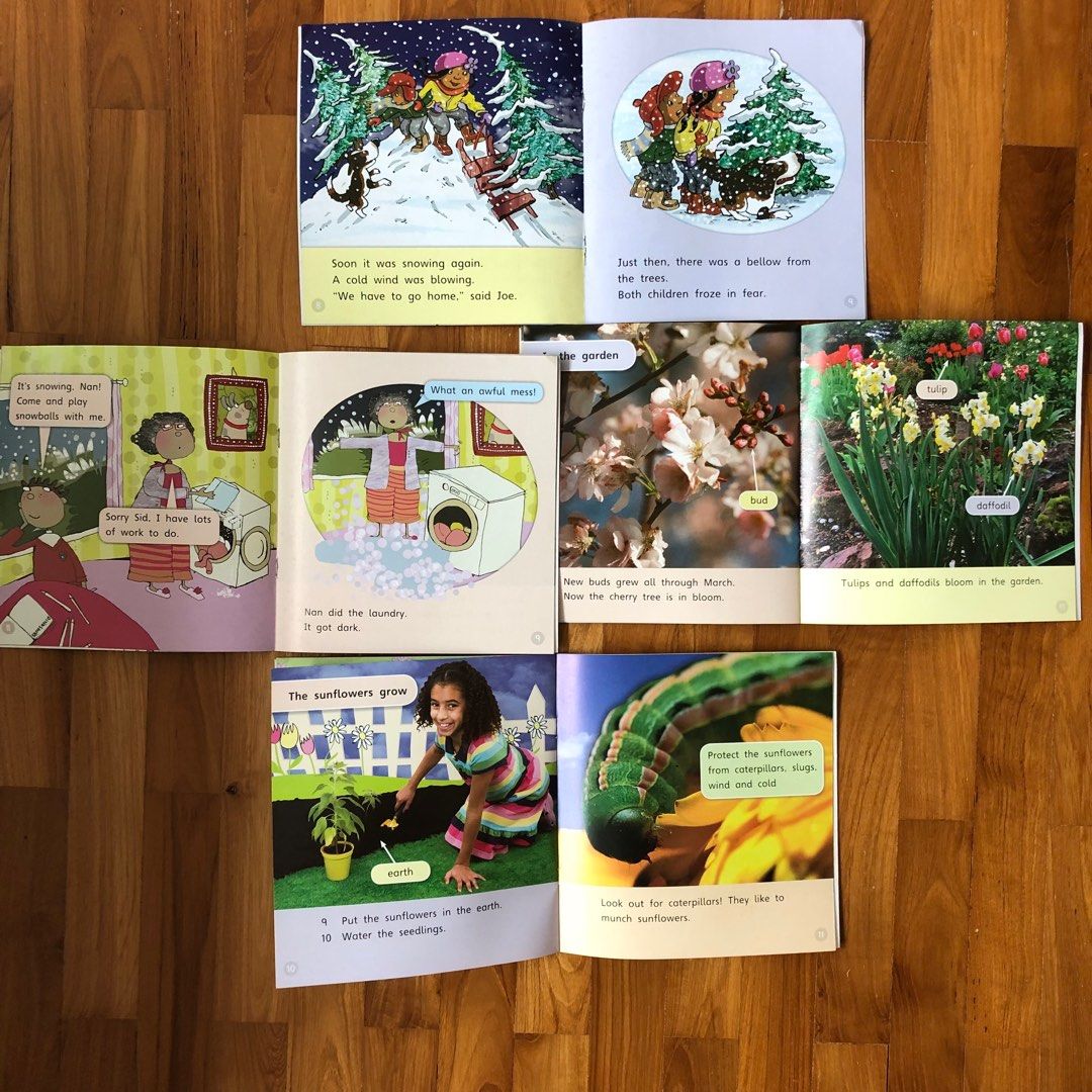 Set of 9 Rigby Star, Reading Bee and Usborne First Reading English ...