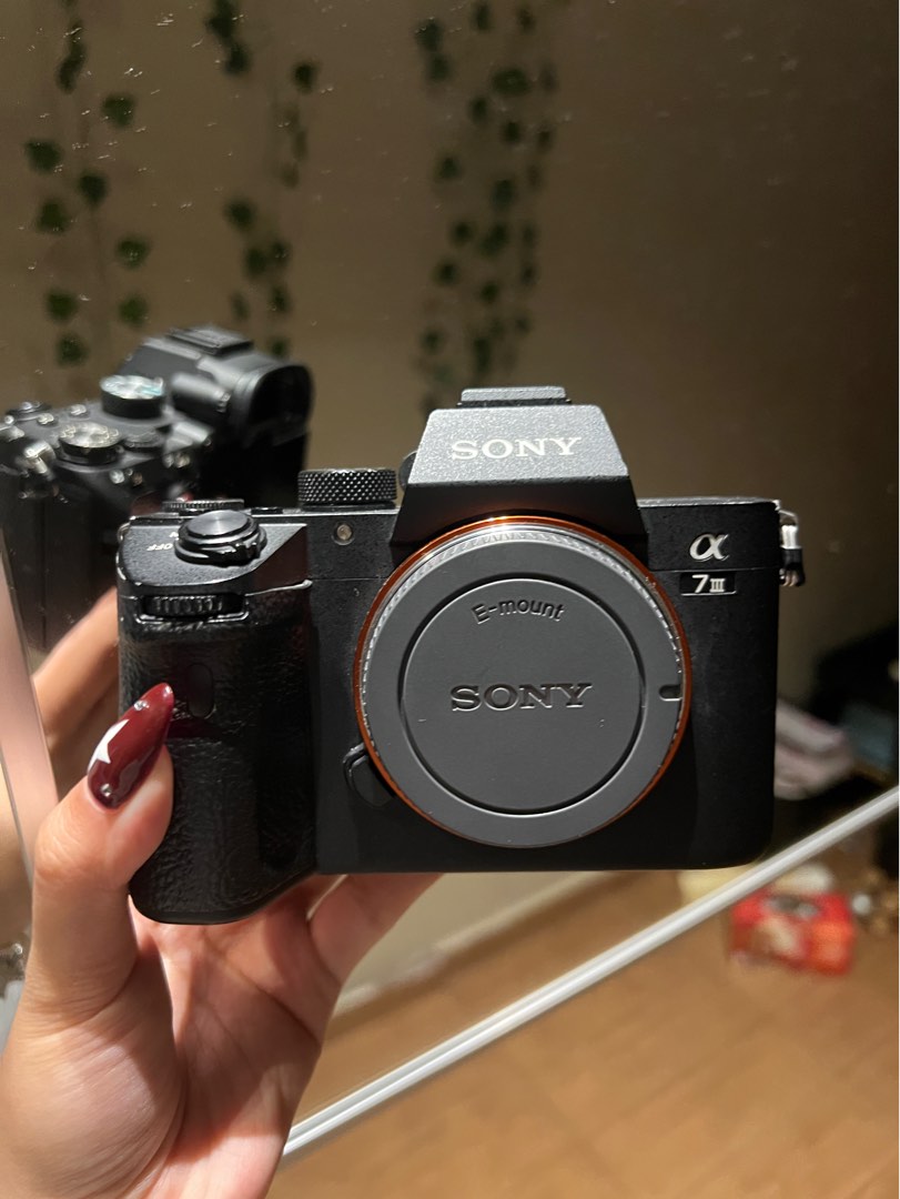 Sony A73 (BODY ONLY), Photography, Cameras on Carousell