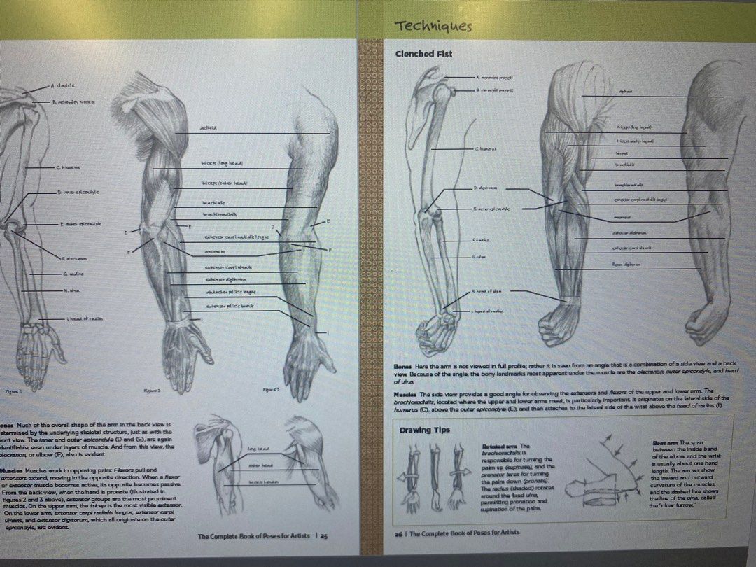 The Complete Book of Poses for Artists-500 Poses, Hobbies & Toys ...