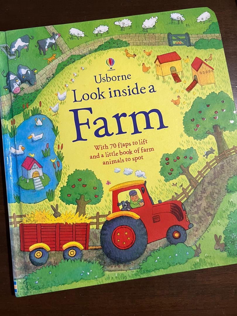 Usborne Lift the Flaps - Look inside a Farm, Hobbies & Toys, Books ...