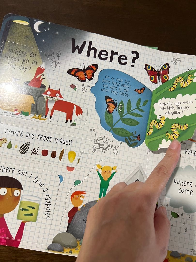 Usborne Lift the Flaps - Questions and Answers about Nature, Hobbies ...