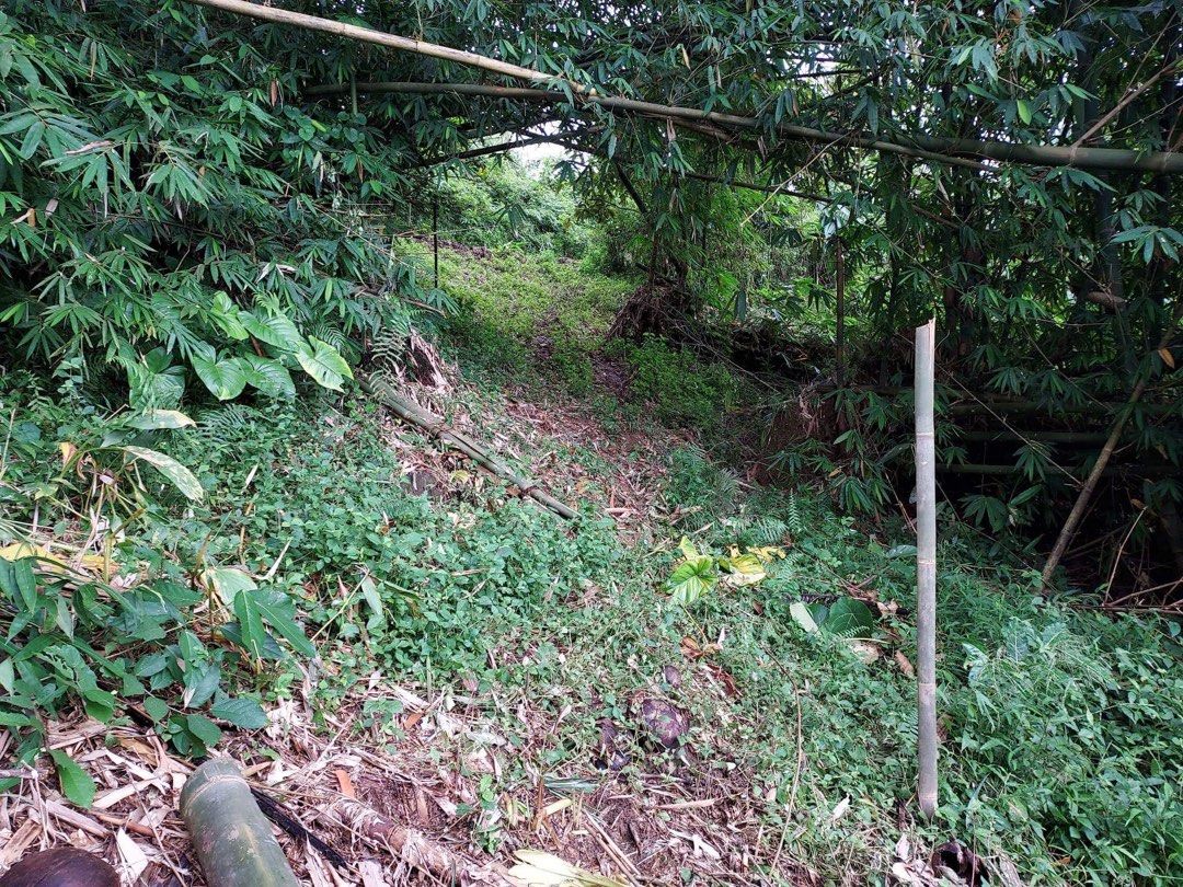 30 Hectares, Majayjay, Laguna NEGOTIABLE!, Property, For Sale, Lot on ...