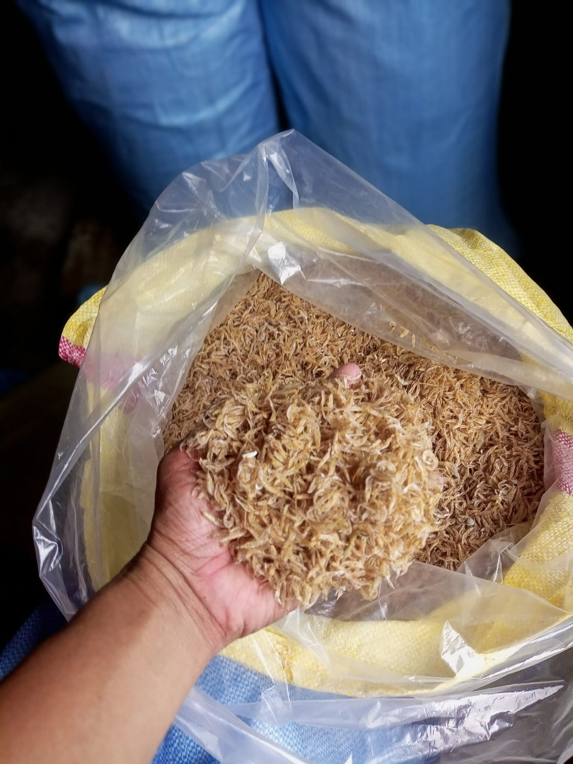 DRIED ALAMANG 1/2 KILO, Food & Drinks, Local Eats on Carousell